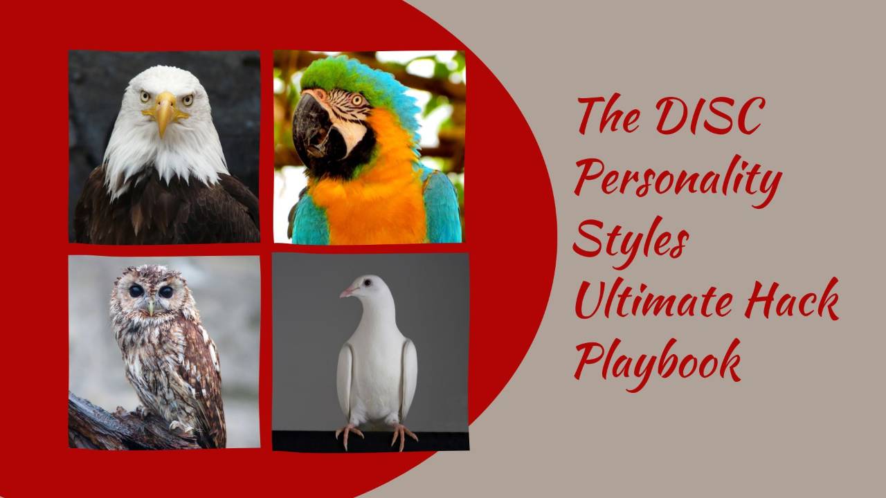 The DISC Personality Styles Ultimate Hack Playbook