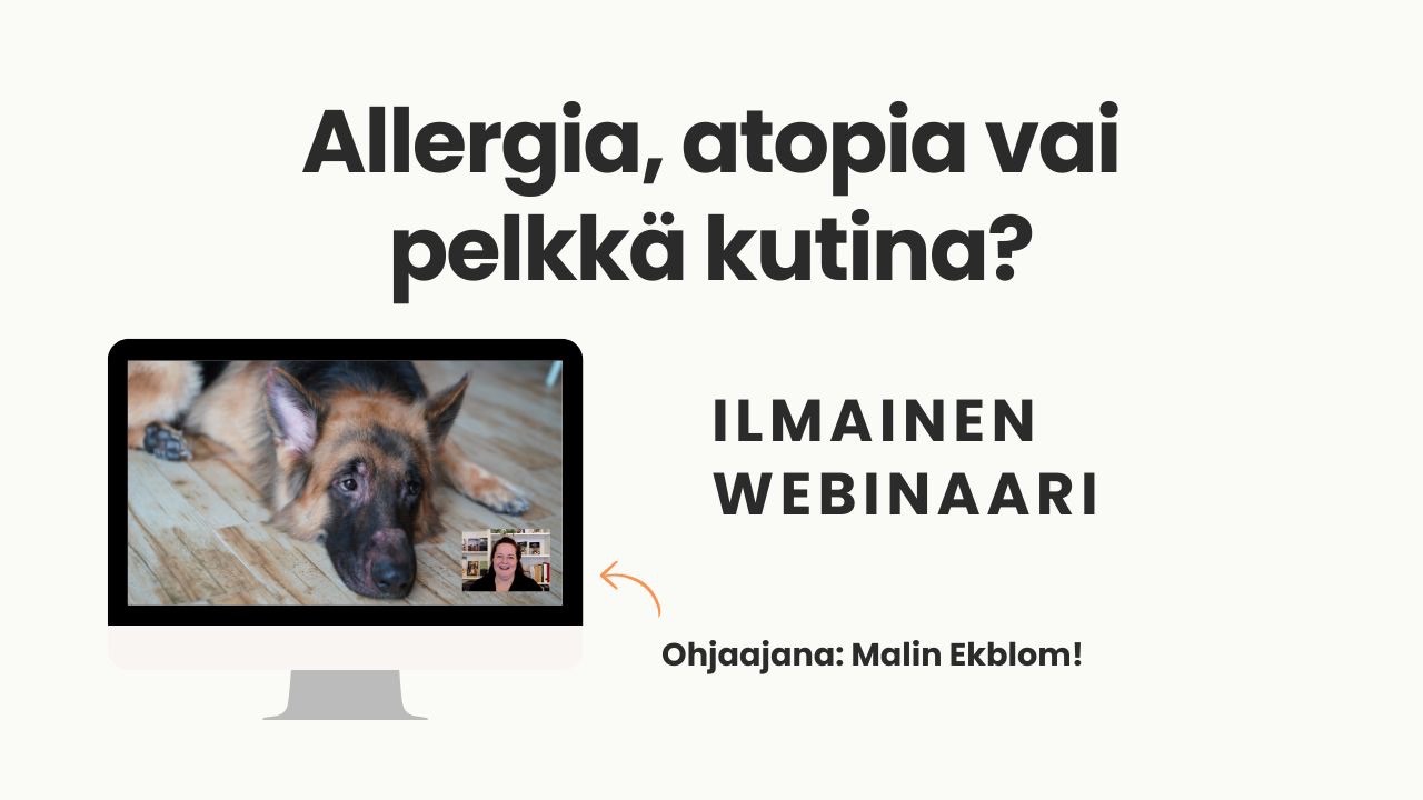 Malin Ekblom: Atopia, allergia vai pelkkä kutina - Ilmainen webinaari