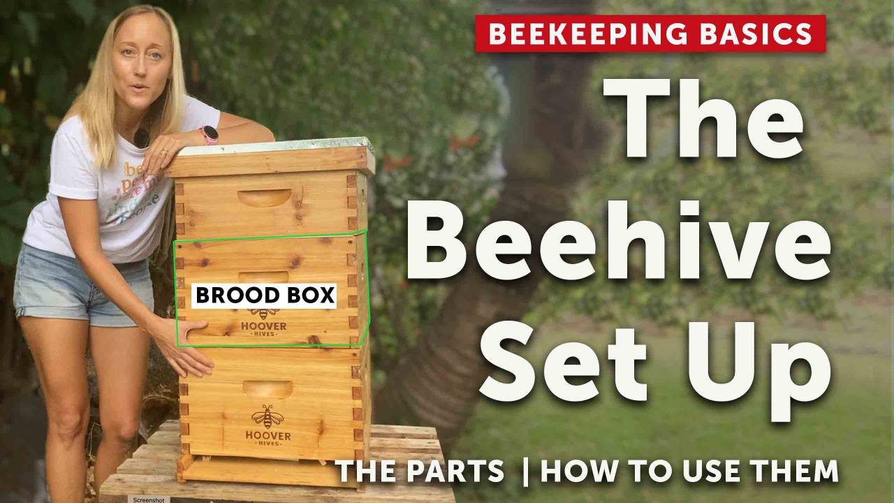 The Beehive Set Up - Parts of a Hive