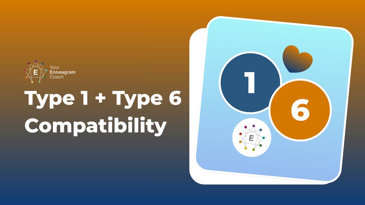 Type 1 + Type 6 Compatibility