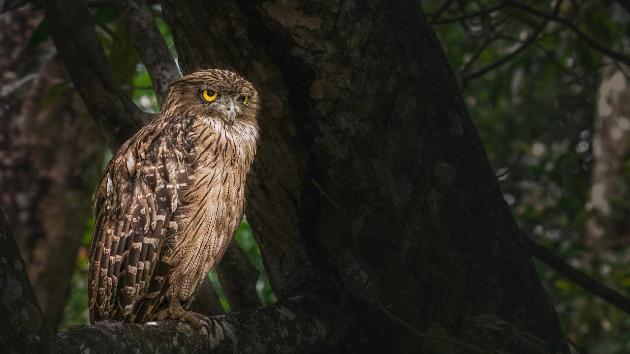 Top 10 Reasons to Have a Board