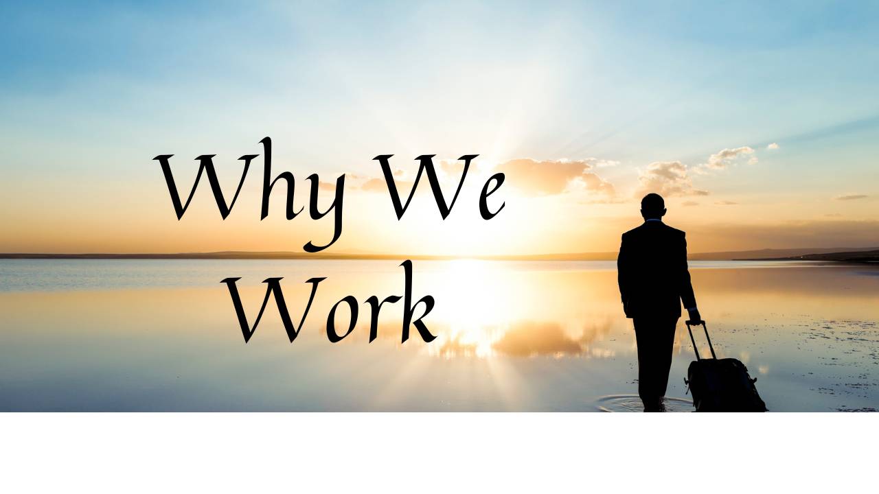 Why We Work