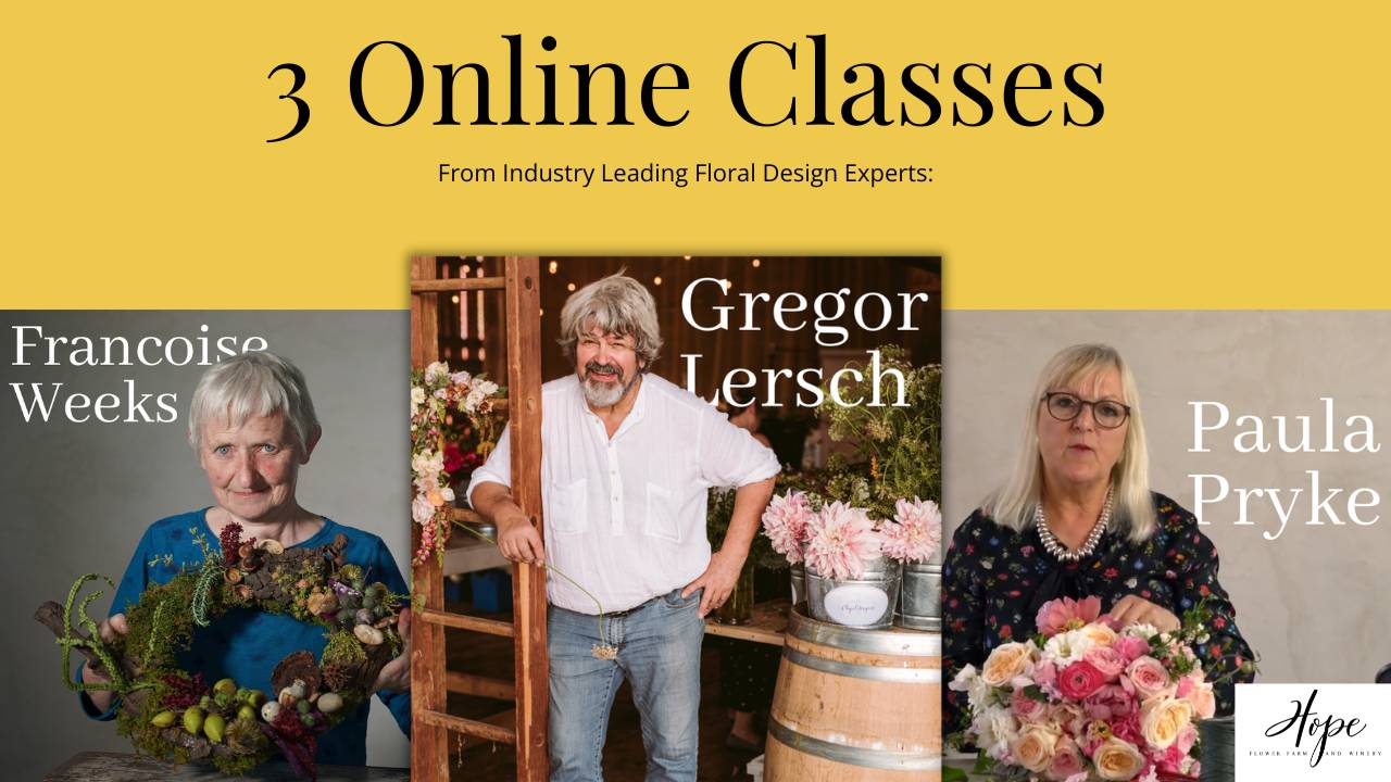 3 Courses - Francoise, Paula, Gregor