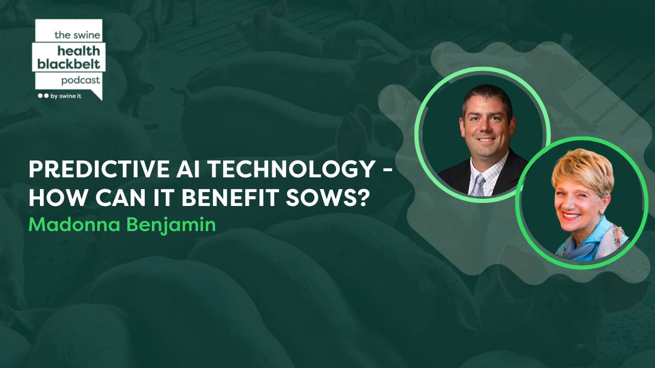 Predictive AI technology - how can it benefit sows?