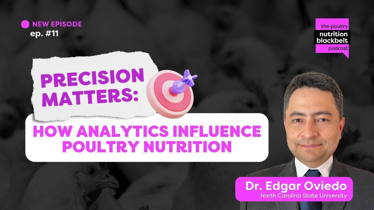 Precision Matters: How Analytics Influence Poultry Nutrition