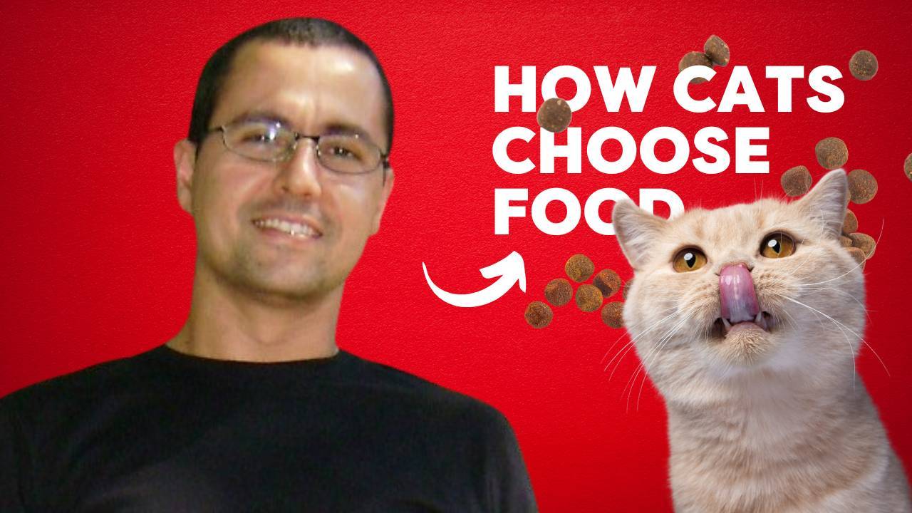 Dr. Ricardo Vasconcellos: Cats' Food Preferences | Ep. 98