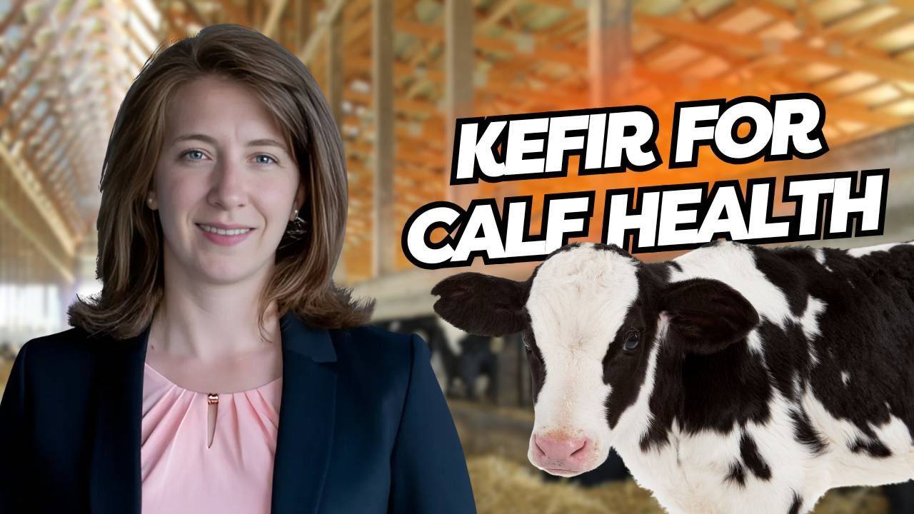 Dr. Sarah Morrison: Positive Biofilms in Calf Health | Ep. 118