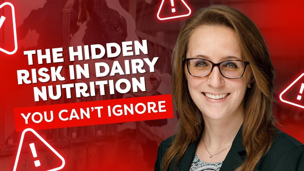 Dr. Paige Gott: Impact of Mycotoxins on Dairy Cattle | Ep. 158