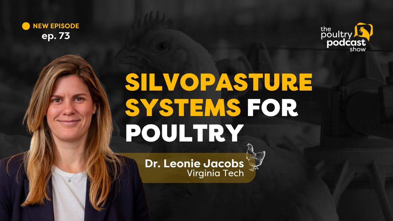 Dr. Leonie Jacobs: Silvopasture Systems for Poultry I Ep. 73