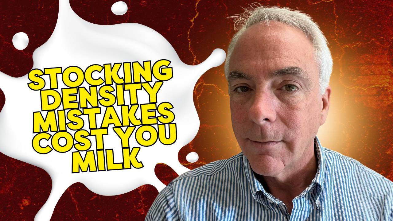 Dr. Rick Grant: Rumen Health & Management | Ep. 178