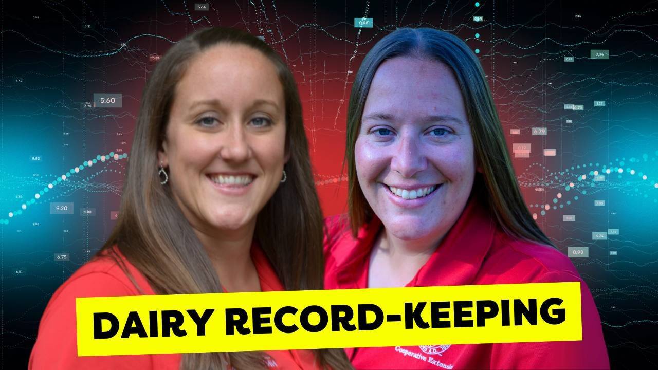 Lindsay Ferlito & Betsy Hicks: Benchmarking Herd Health | Ep. 142