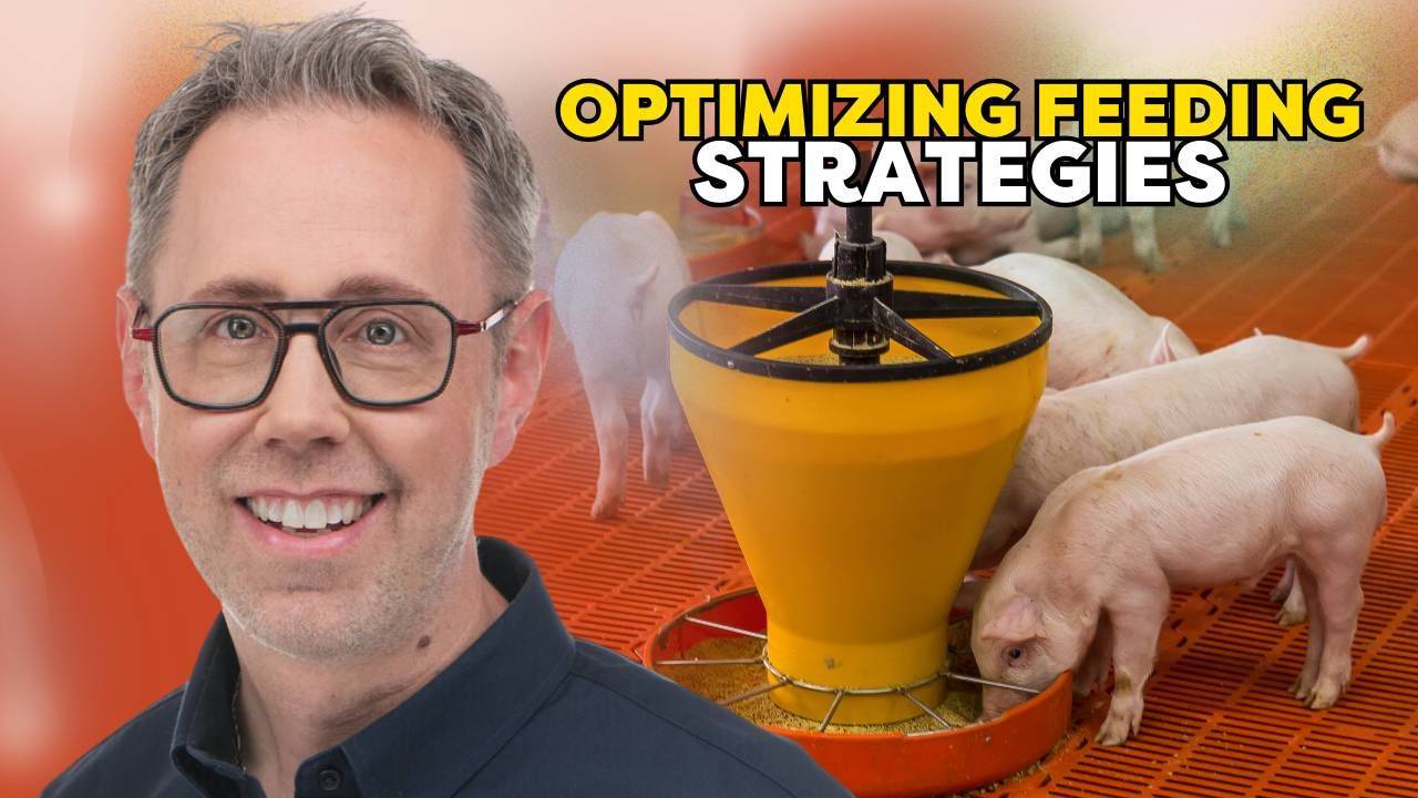 Francis Simard: Understanding Nutrient Kinetics | Ep. 268