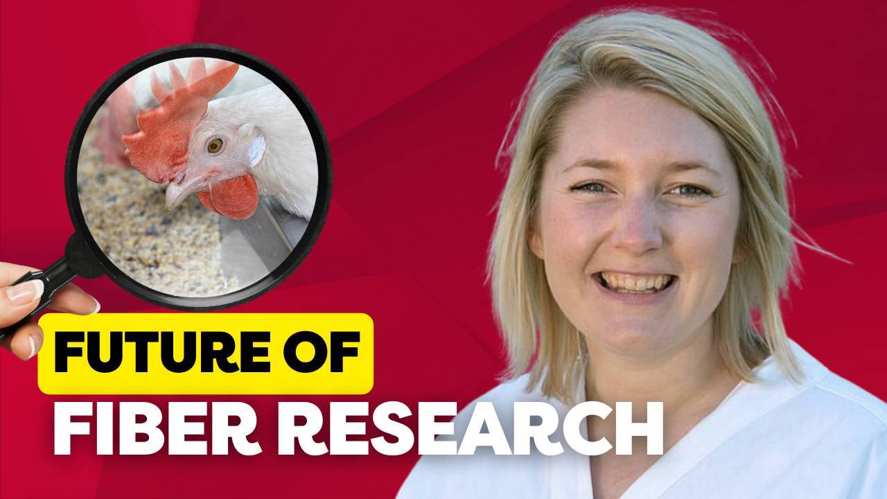Dr. Natalie Morgan: Fiber in Poultry Diets | Ep. 124