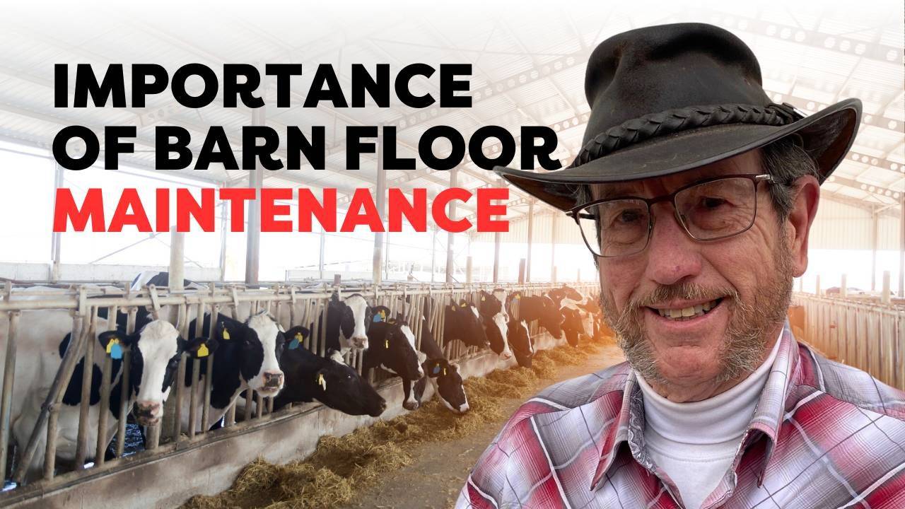Tom Woodall: Traction Milling for Dairy Barns | Ep. 141