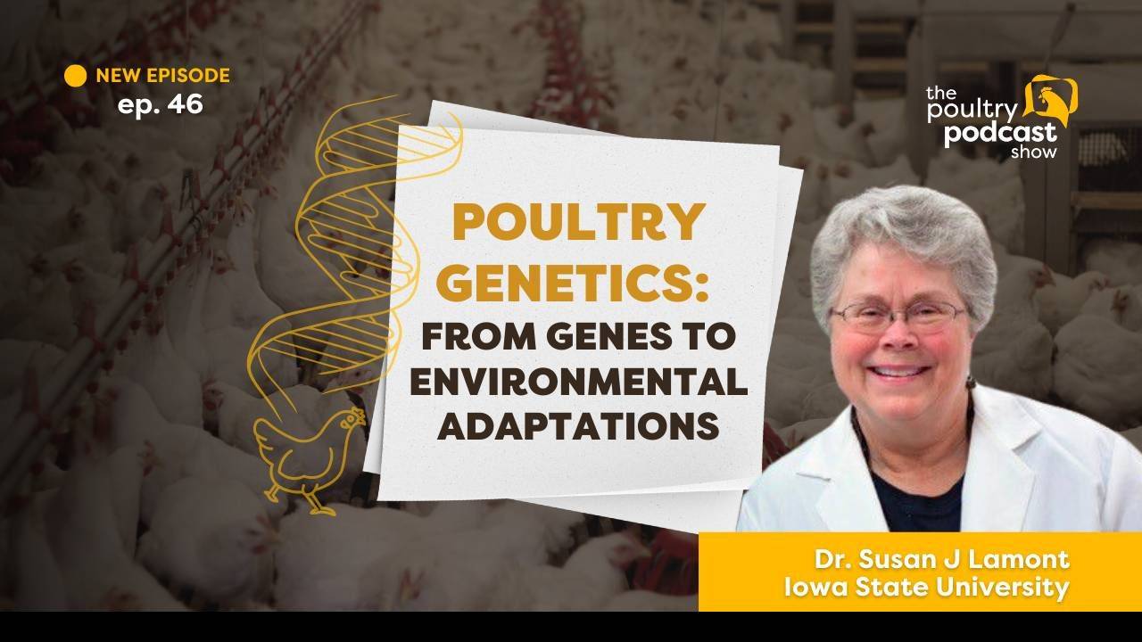 Poultry Genetics: From Genes to Environmental Adaptations