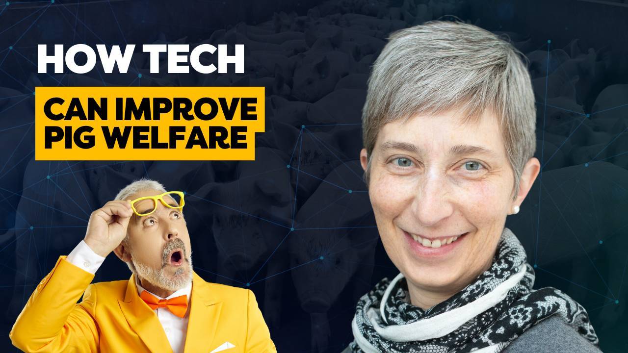 Dr. Janice Siegford: Precision Pig Farming Technologies | Ep. 109