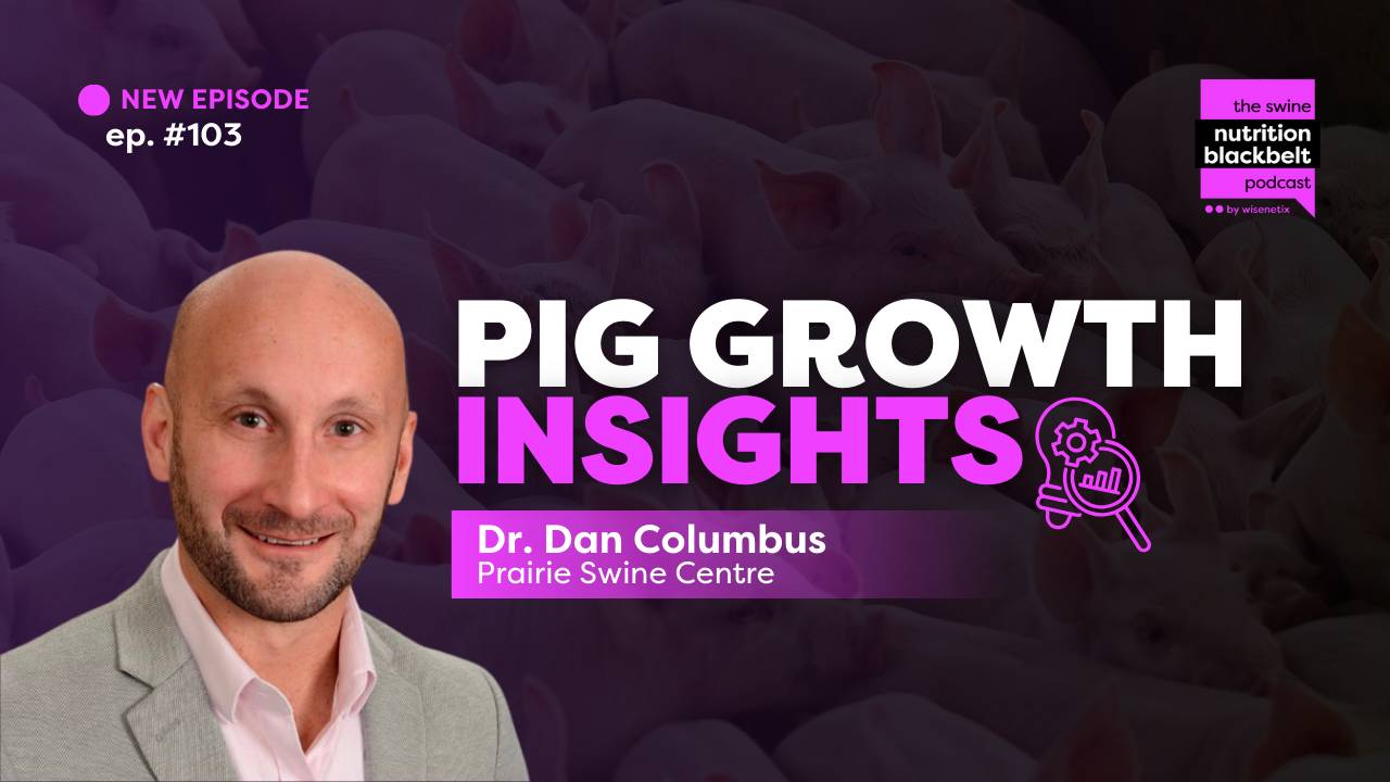 Dr. Daniel Columbus: Pig Growth Insights | Ep. 103