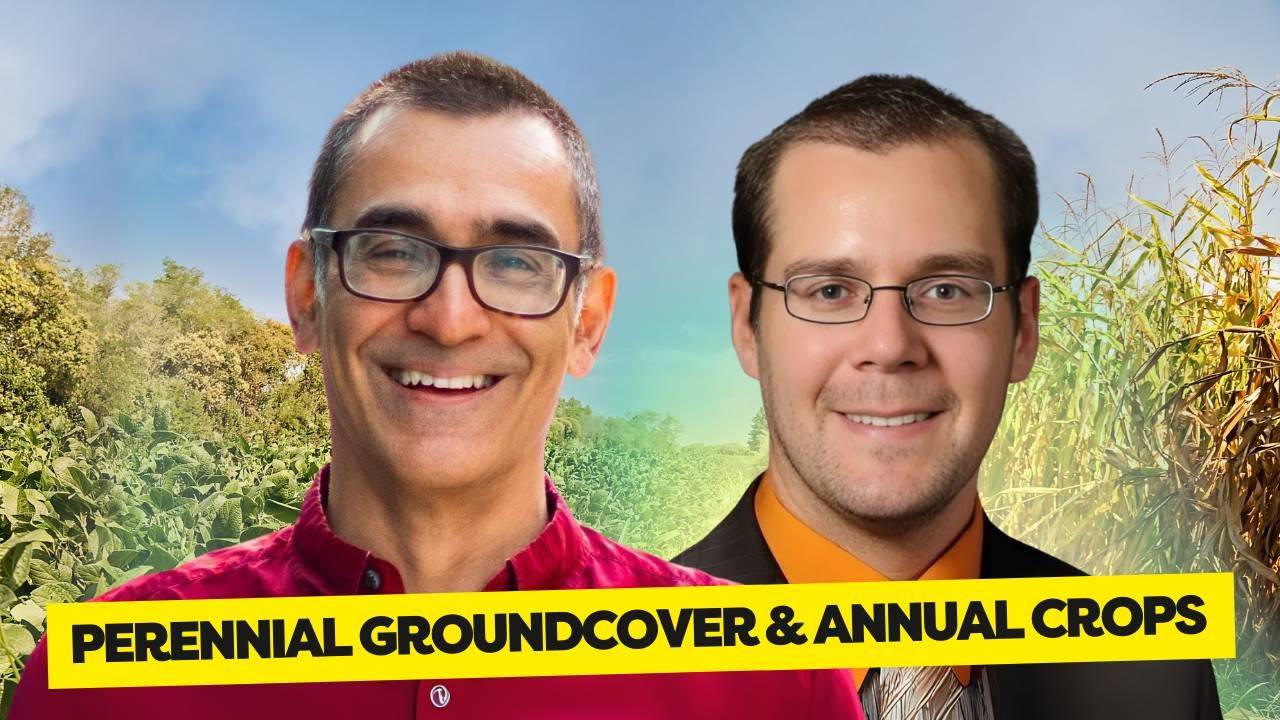 Dr. Dave Raj Raman & Dr. Daniel Andersen:Perennial Groundcover Systems