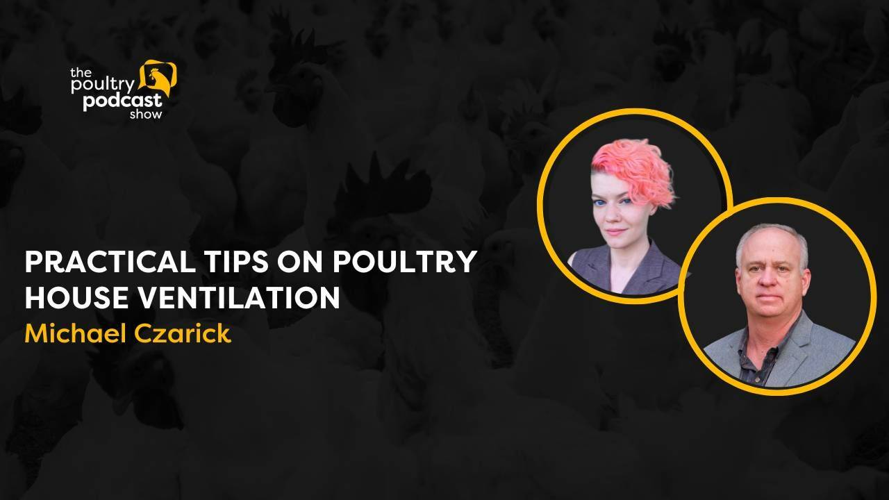 Practical tips on poultry house ventilation