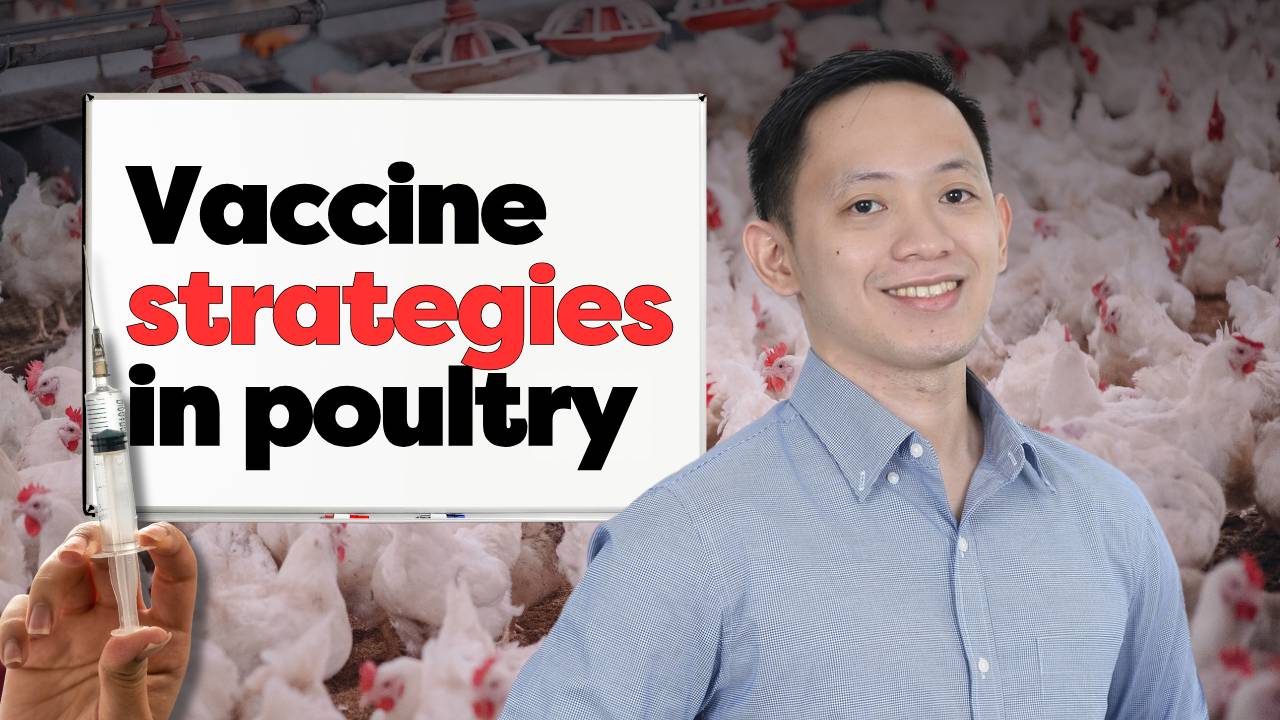 Dr. Sherwin Camba: Salmonella & Biosecurity | Ep. 173