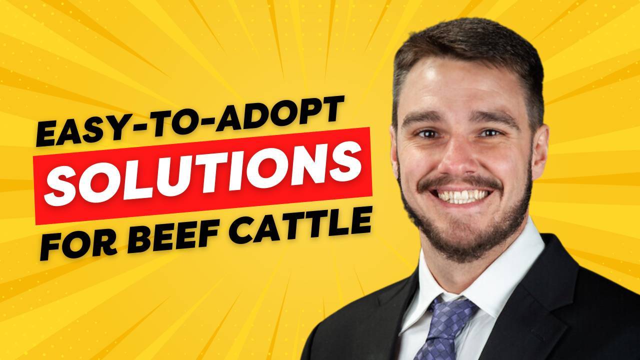 Dr. Nicholas Dias: Estrous Synchronization in Beef Cattle | Ep. 112
