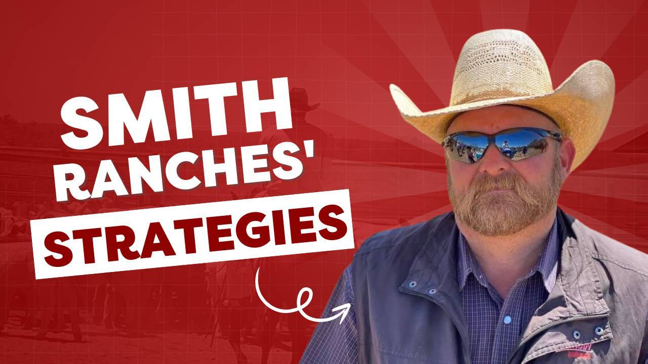 Clint Jackson: Large-scale Cattle Operation | Ep. 104