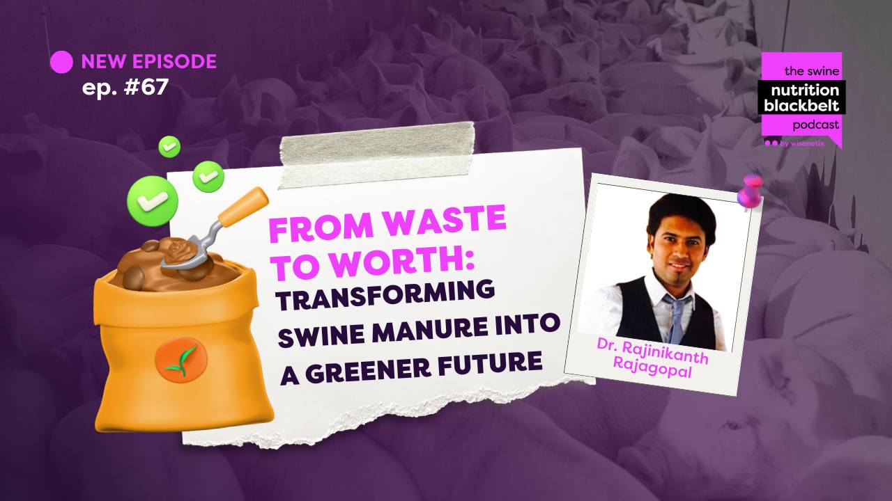 From waste to worth: transforming swine manure into a greener future