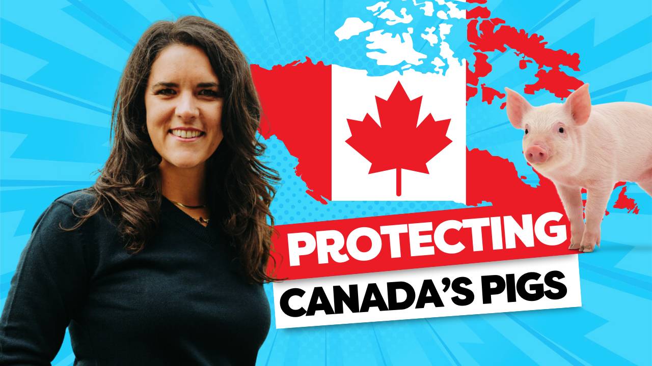 Jenelle Hamblin: Disease Preparedness Planning | Ep. 139