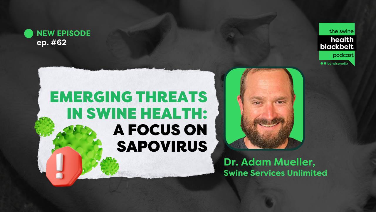 Emerging Threats in Swine Health: A Focus on Sapovirus