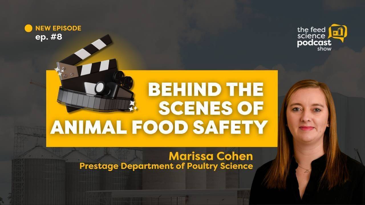 # 8 - Behind the scenes of animal food safety