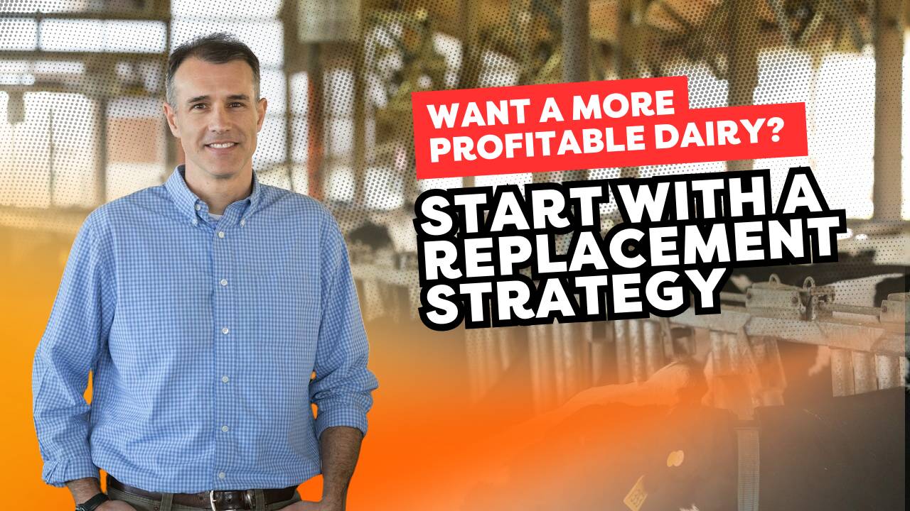 Dr. Daryl Nydam: Dairy Herd Dynamics | Ep. 33