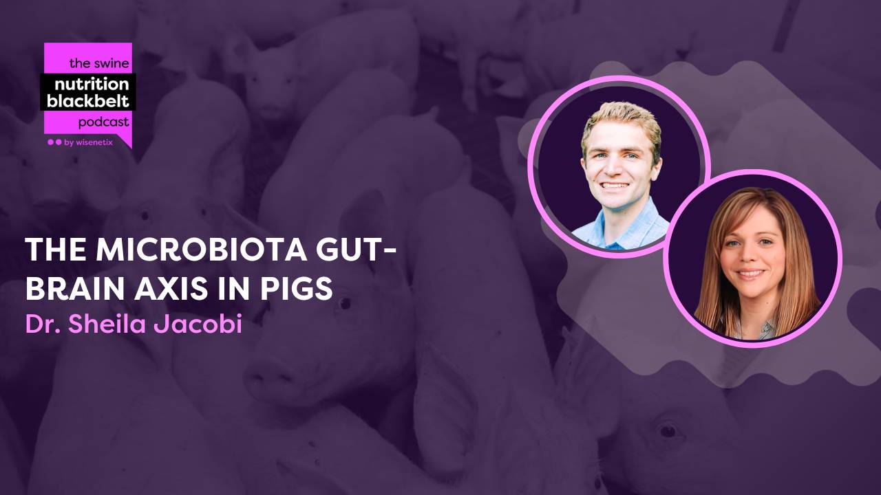 The microbiota gut-brain axis in pigs