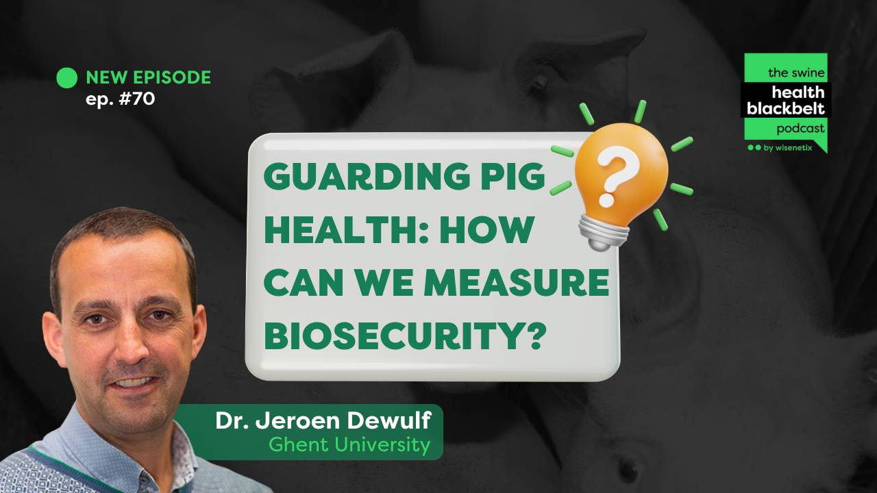 Guarding Pig Health: How can we measure biosecurity?