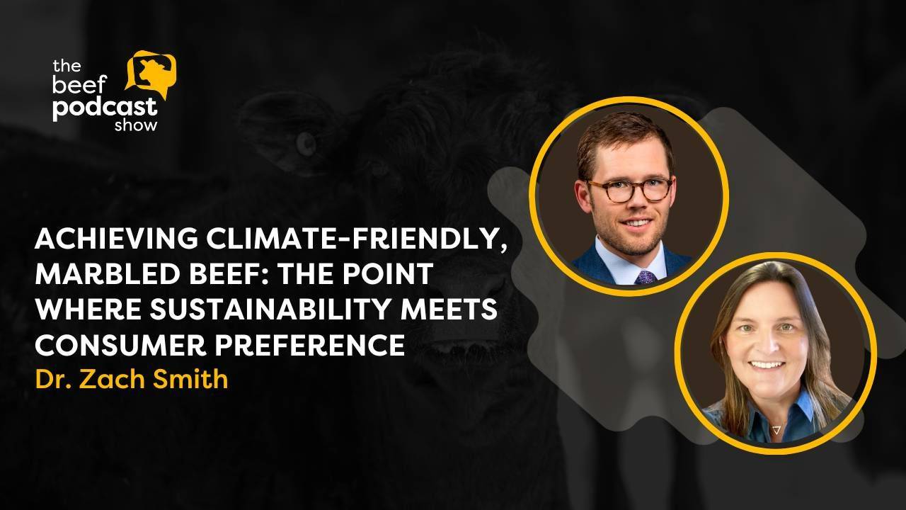 Climate-friendly, marbled beef