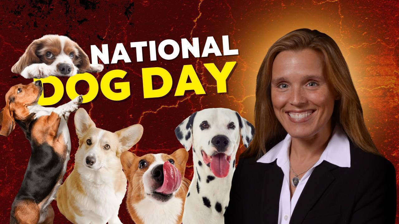 Dr. Erin Perry: Working Dogs Diet | Ep. 116