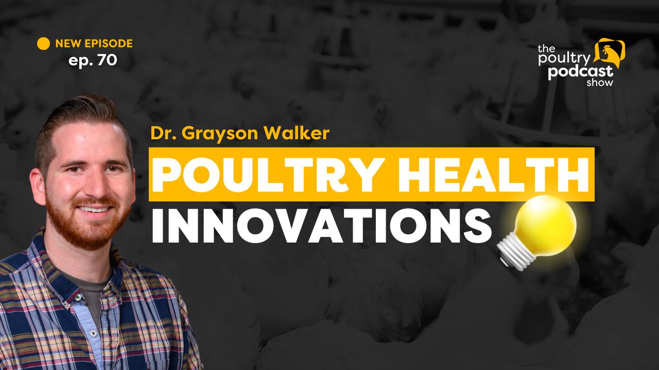 Grayson Walker: Poultry Health Innovations Poultry Health Innovations