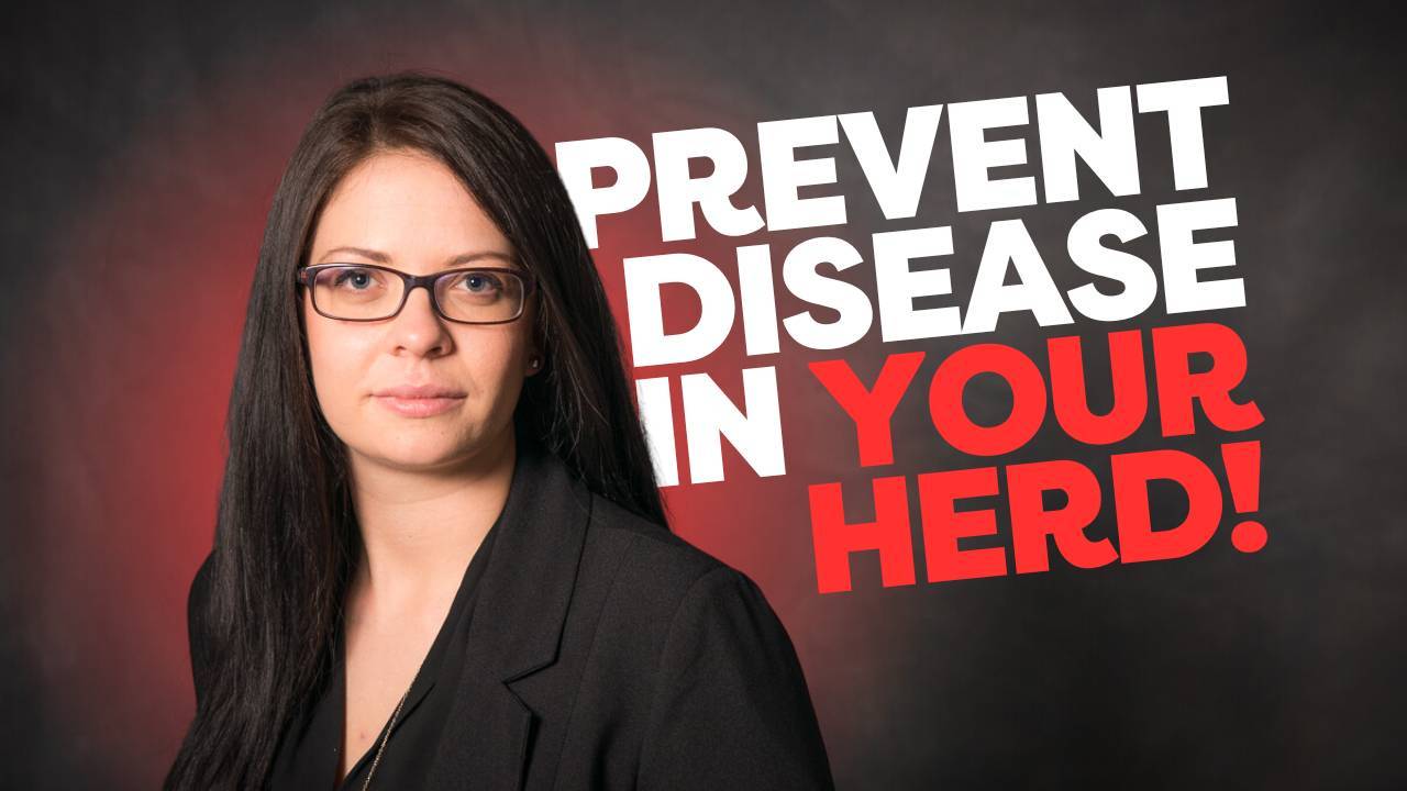 Dr. Jessica Law: Preventative Medicine for Herd Health | Ep. 112