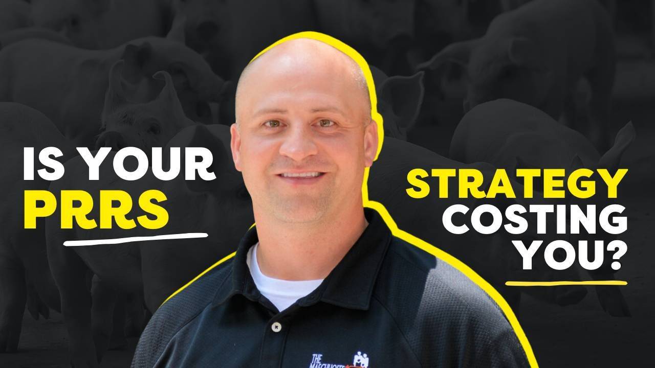 Dr. Tyler Bauman: PRRS Control in Grow-Finish Pigs | Ep. 156