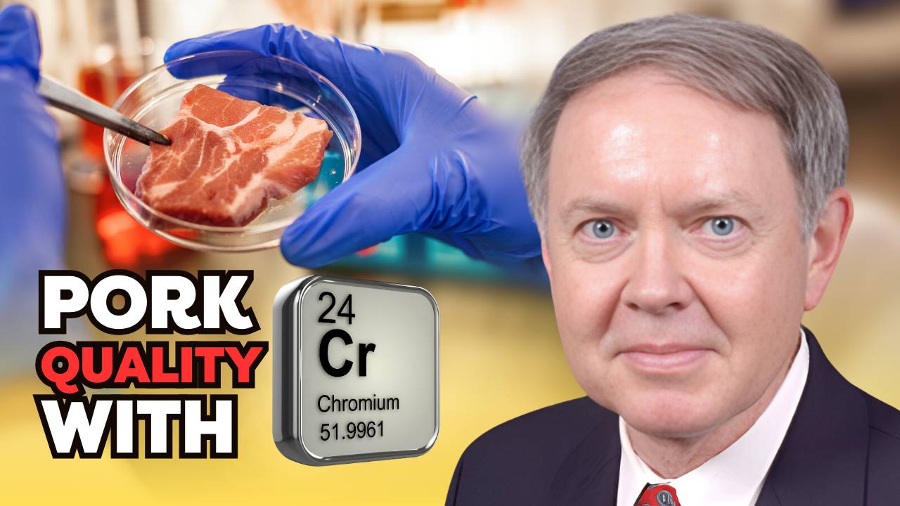 Dr. Jerry Spears: Chromium in Swine Feed | Ep. 123