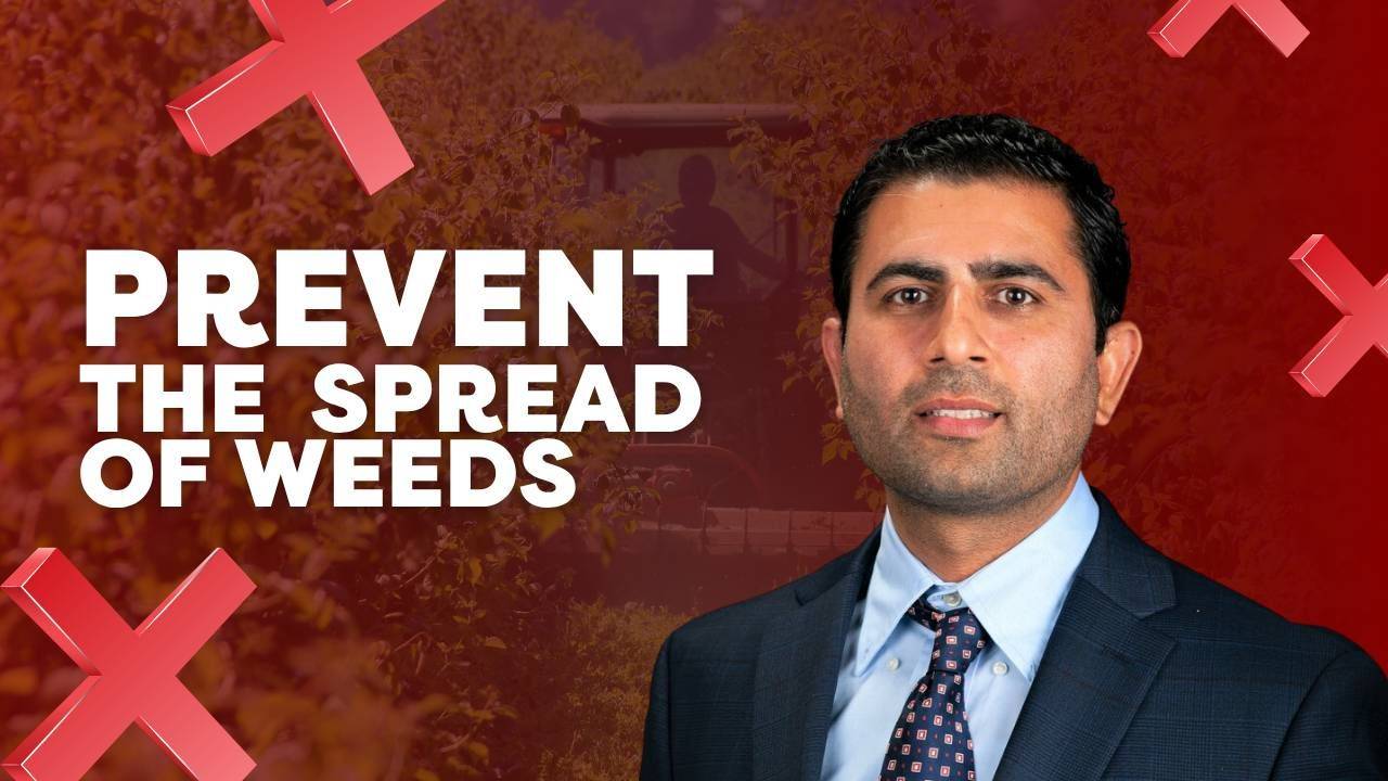 Dr. Vipan Kumar: Weed Management Focus | Ep. 87