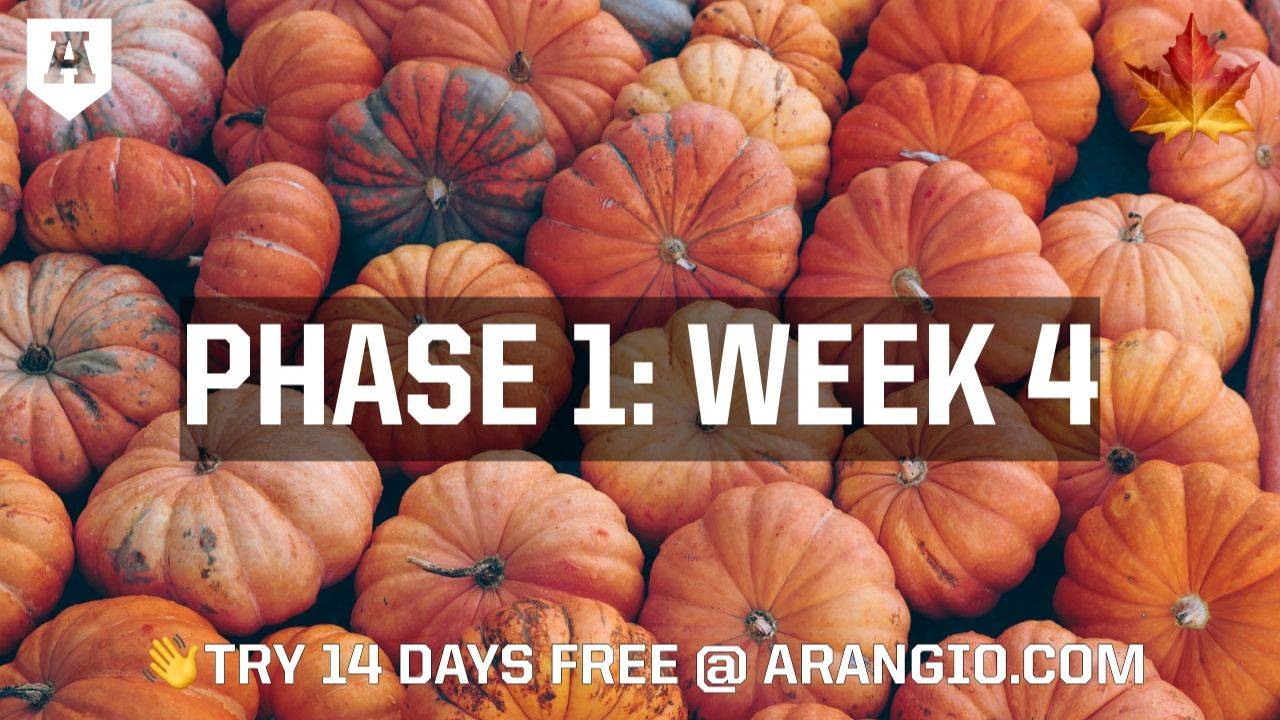 Fall Phase 1: Week 4 | Joseph Arangio