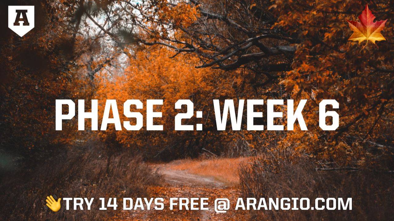 Fall Phase 2: Week 6 | Joseph Arangio