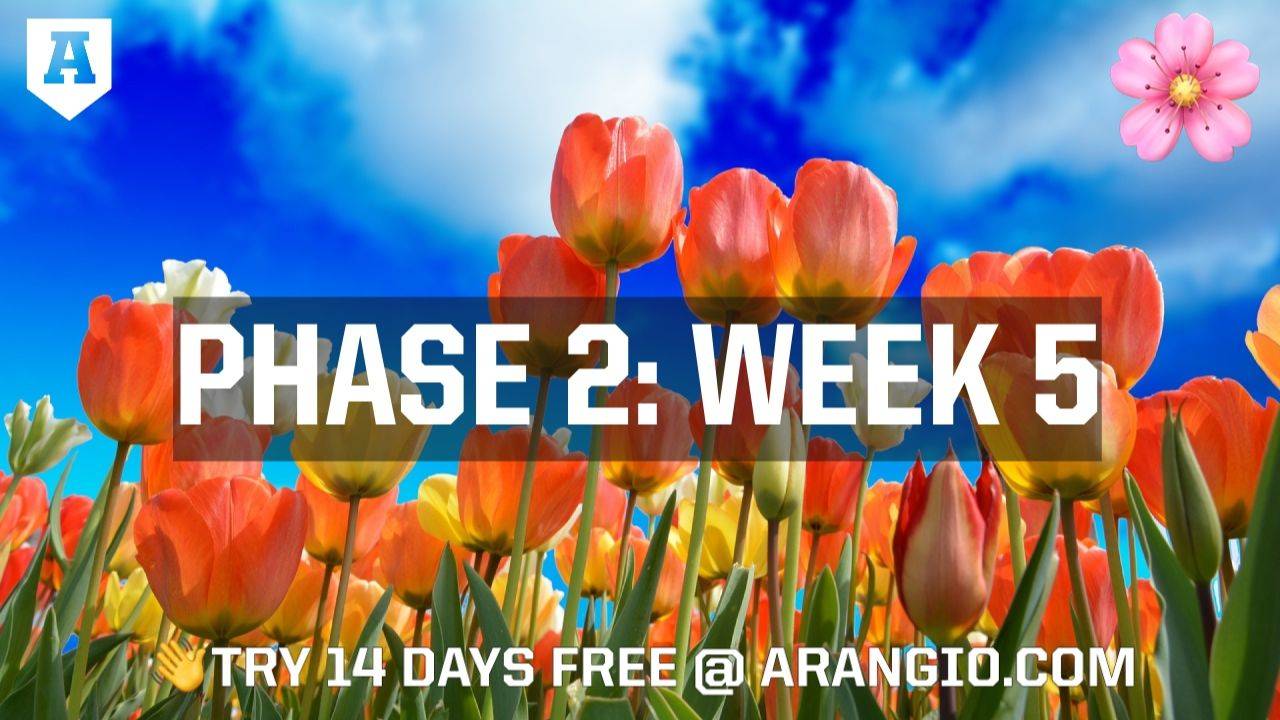Spring Phase 2: Week 5 | Joseph Arangio