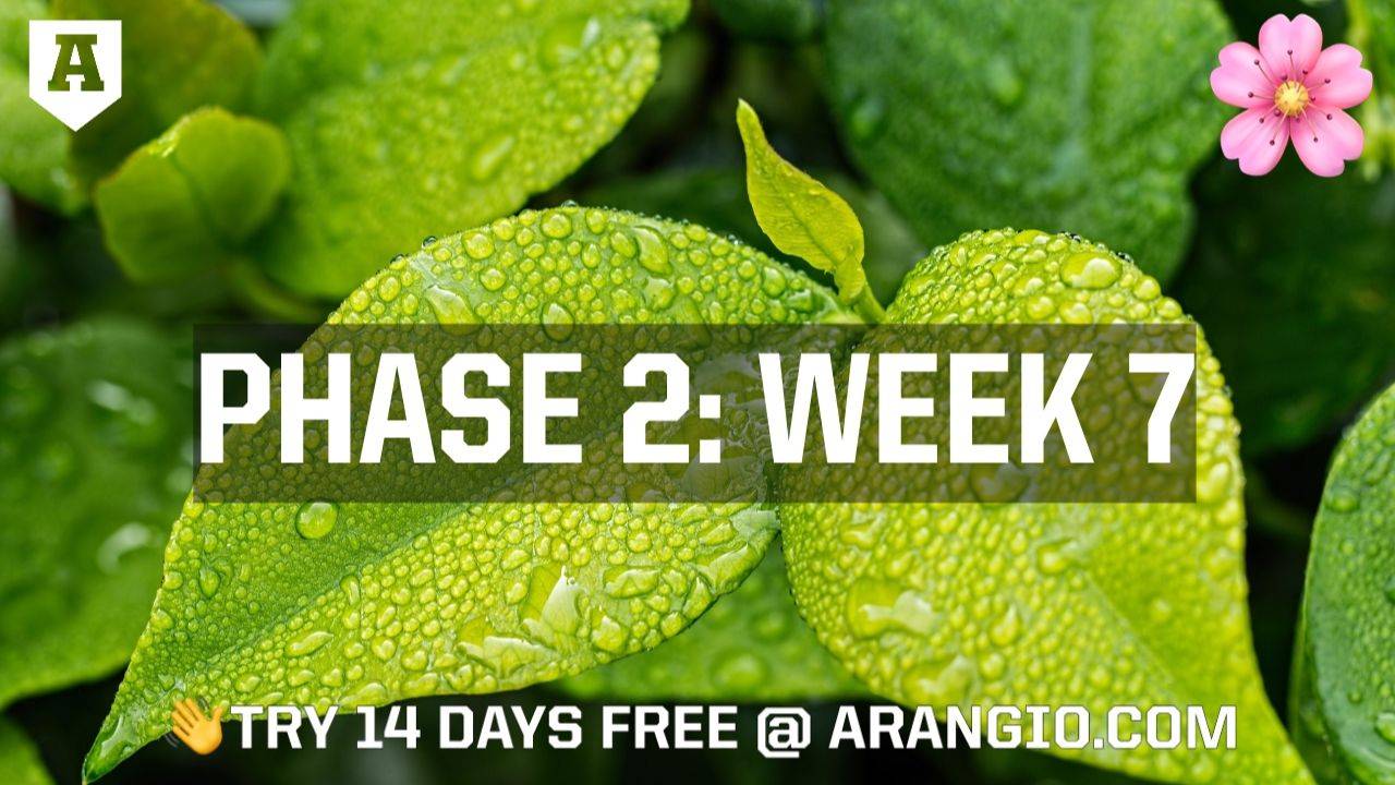 Spring Phase 2: Week 7 | Joseph Arangio