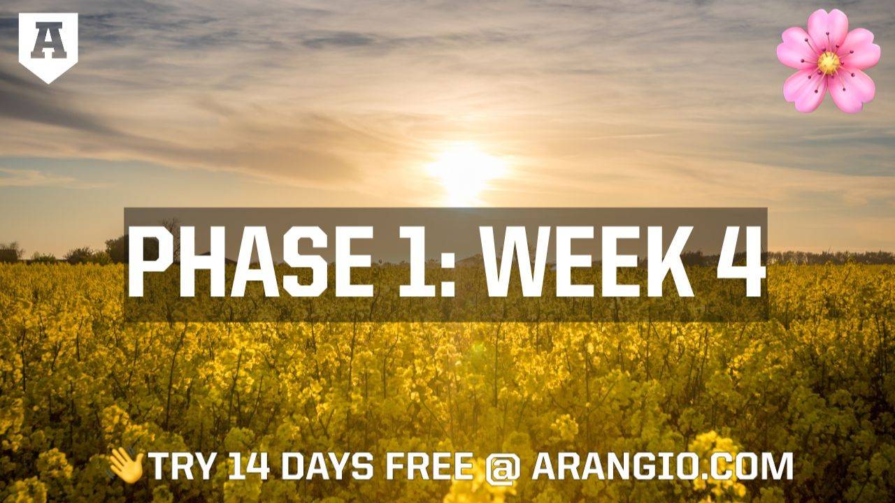 Spring Phase 1: Week 4 | Joseph Arangio