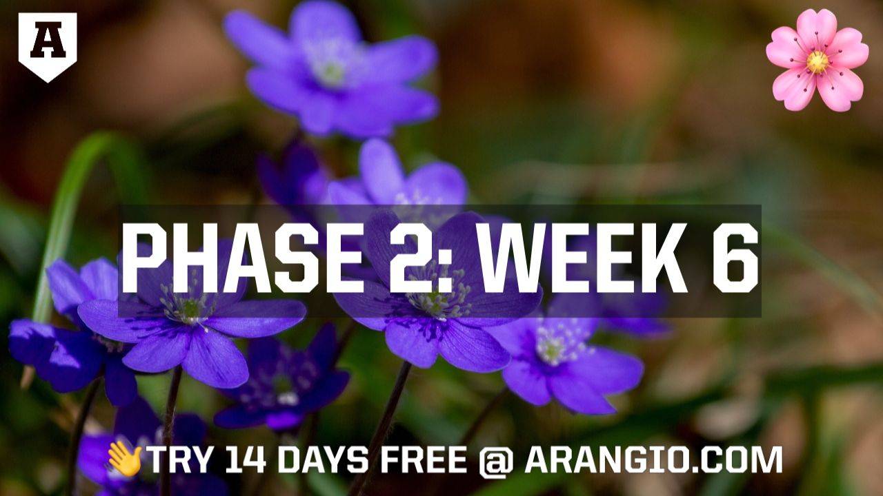 Spring Phase 2: Week 6 | Joseph Arangio