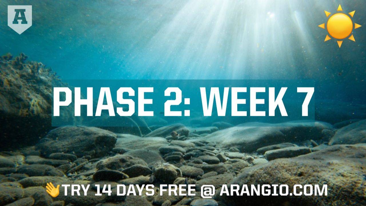 Summer Phase 2: Week 7 | Joseph Arangio