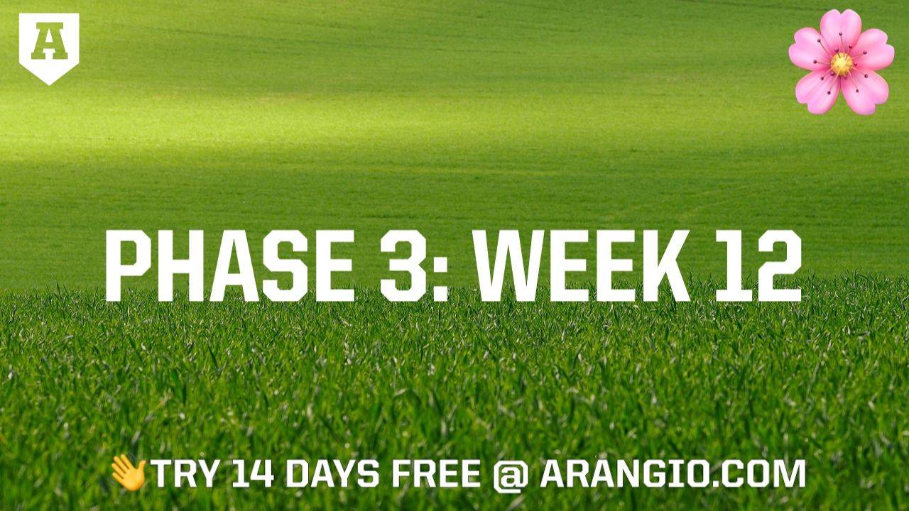 Spring Phase 3: Week 12