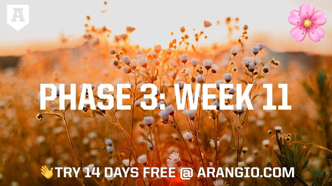 Spring Phase 3: Week 11 | Joseph Arangio