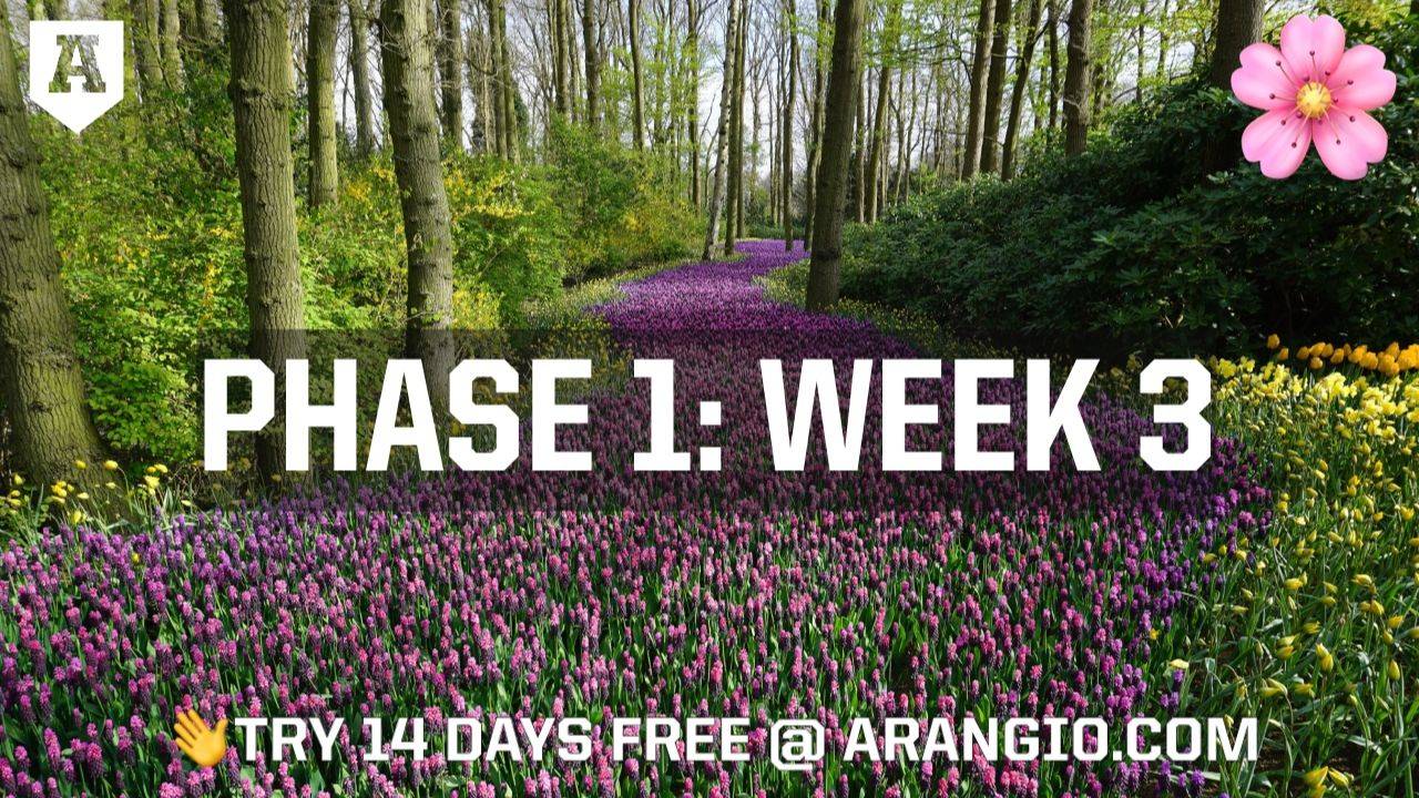 Spring Phase 1: Week 3 | Joseph Arangio
